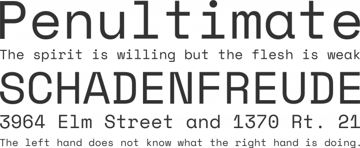 Space Mono Font Free by Colophon | Font Squirrel