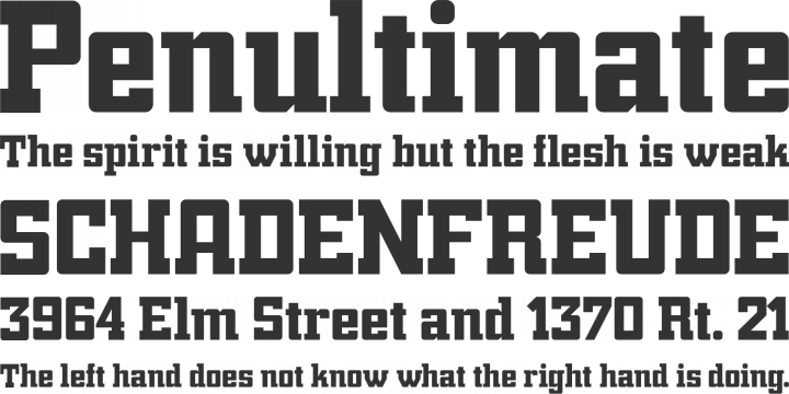 Trump Town Pro Font Free by CheapProFonts » Font Squirrel