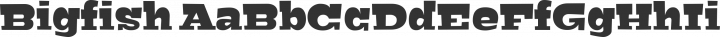 Bigfish Font Free by Floodfonts » Font Squirrel